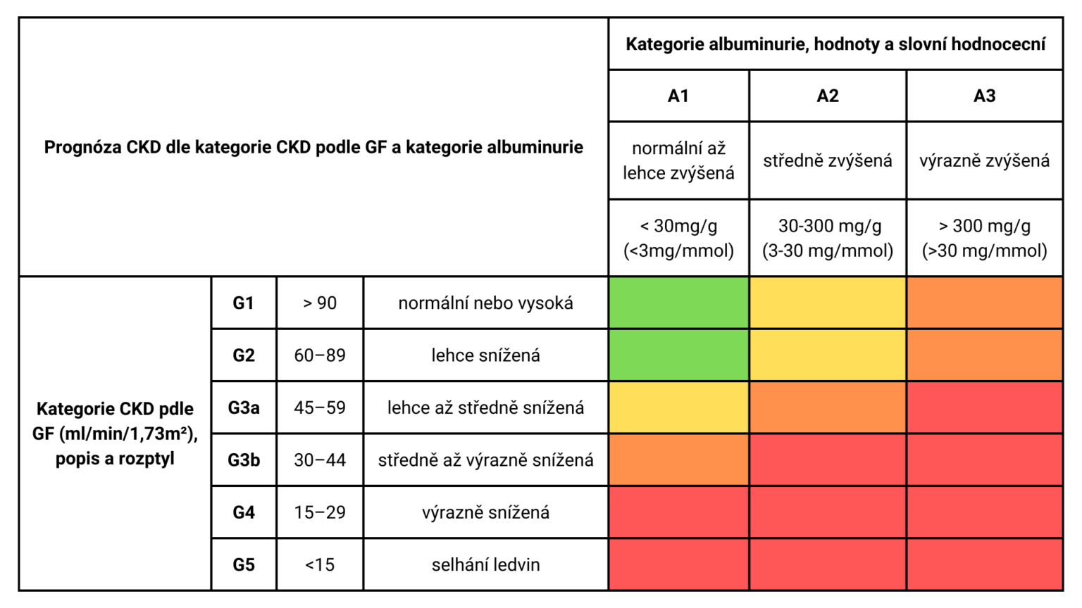 Příznaky onemocnění ledvin a jak probíhá vyšetření a léčba nemoci ledvin